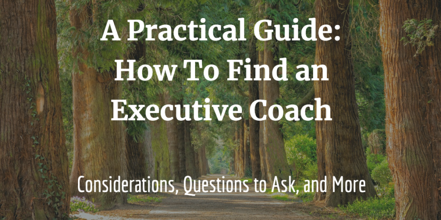 A Practical Guide: How To Find an Executive Coach (Part 3) - Ada Chen Rekhi